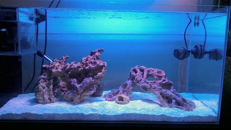 ADA 90P - 48 Gallon Rimless Build - Tank Builds - Austin Reef Club