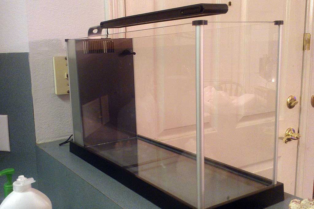 Fluval Spec-V - Tank Builds - Austin Reef Club